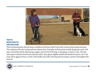 AKC Canine Good Citizen (CGC) Test Items | PDF