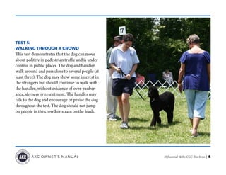 AKC Canine Good Citizen (CGC) Test Items | PDF