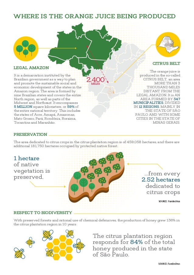 E-book Find Out Brazilian Agribusines | PDF