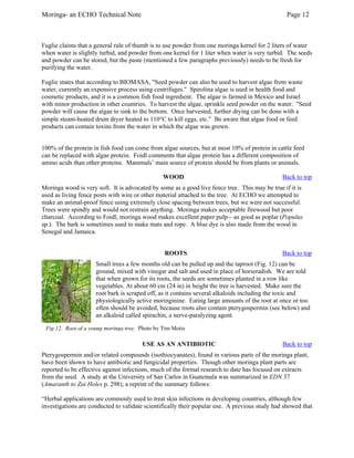 Ebook moringa | PDF
