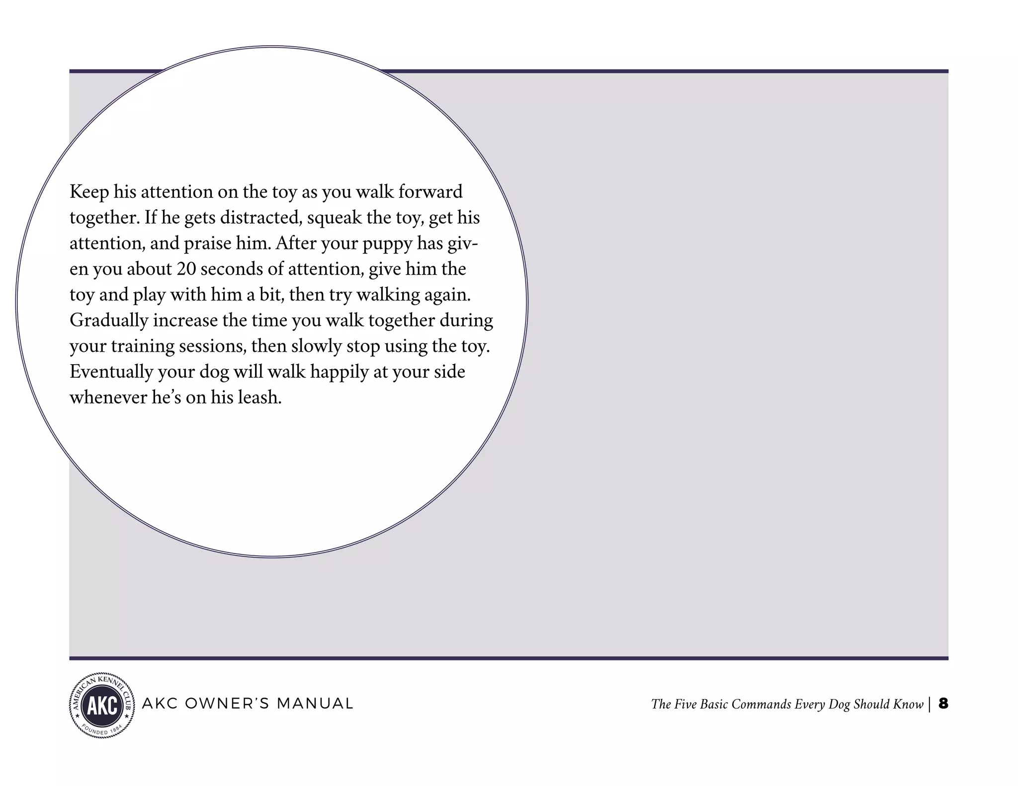 The 5 Basic Commands Every Dog Should Know | PDF