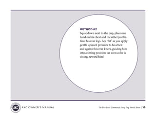 The 5 Basic Commands Every Dog Should Know | PDF