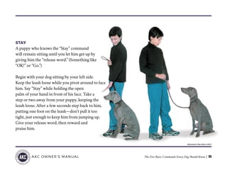 The 5 Basic Commands Every Dog Should Know | PDF