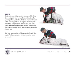 The 5 Basic Commands Every Dog Should Know | PDF