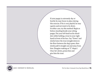 The 5 Basic Commands Every Dog Should Know | PDF