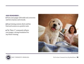 The 5 Basic Commands Every Dog Should Know | PDF