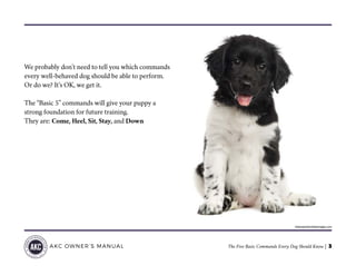 The 5 Basic Commands Every Dog Should Know | PDF