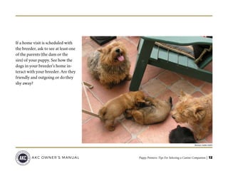 Selecting a Puppy | PDF