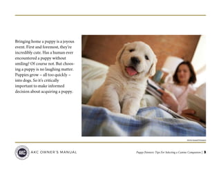Selecting a Puppy | PDF