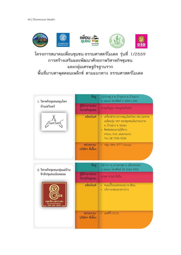 Ebook Thammasat Model | PPT