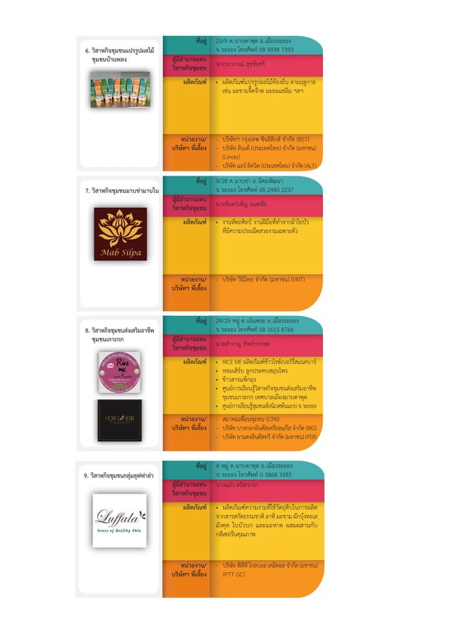 Ebook Thammasat Model | PPT