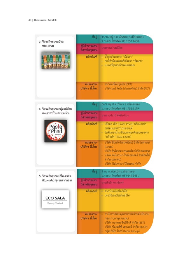 Ebook Thammasat Model | PPT