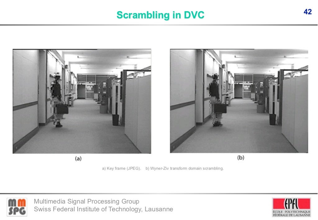 Privacy protection of visual information