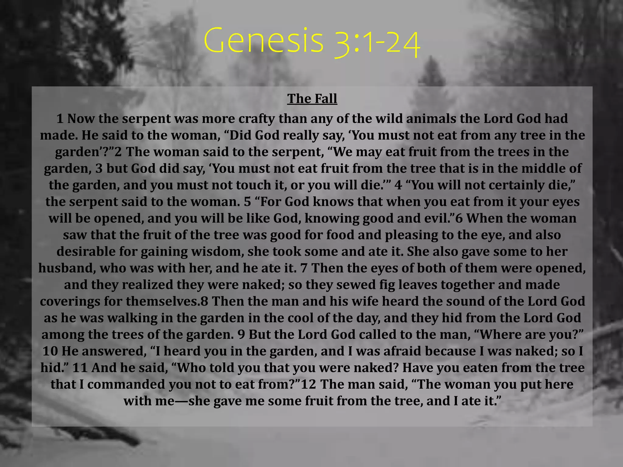 EBS-The-Effects-of-the-Fall-of-Man.pptx | Christianity | Religion ...