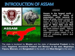 EBSB ASSAM 31.01.2023.pptx | Asia Travel | Travel Locations