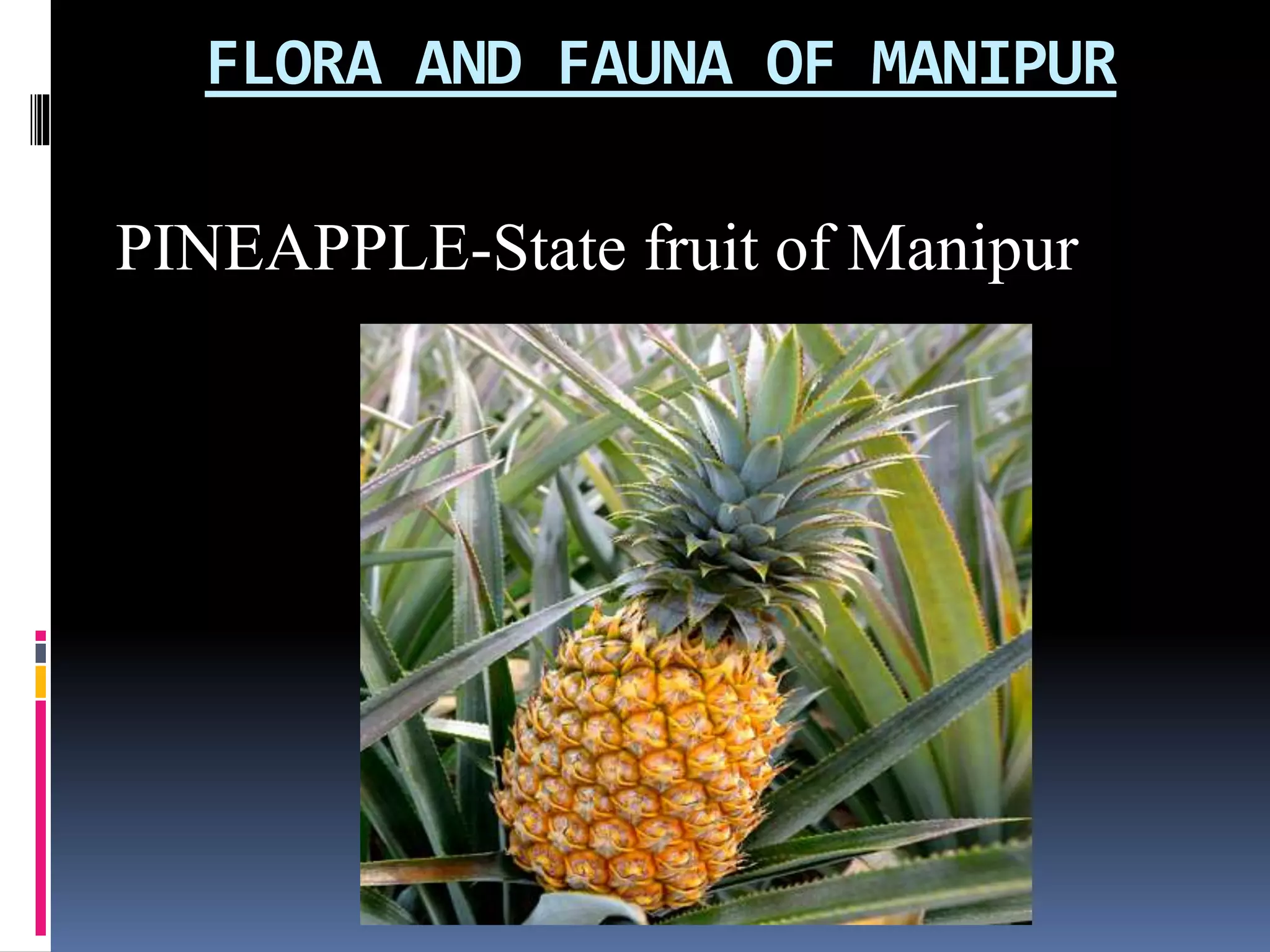 hisitory geography and cultural heritage of manipur | PPTX