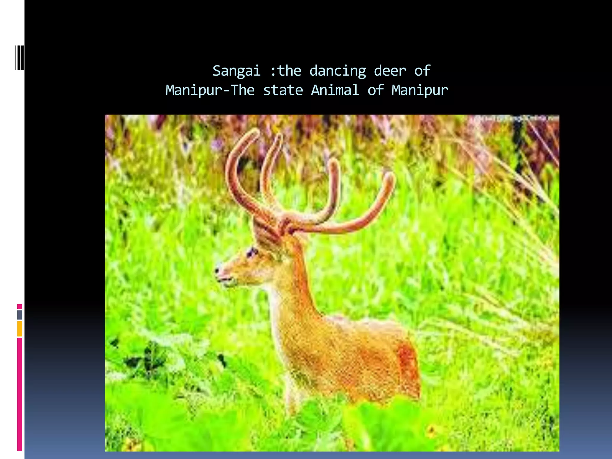 hisitory geography and cultural heritage of manipur | PPTX
