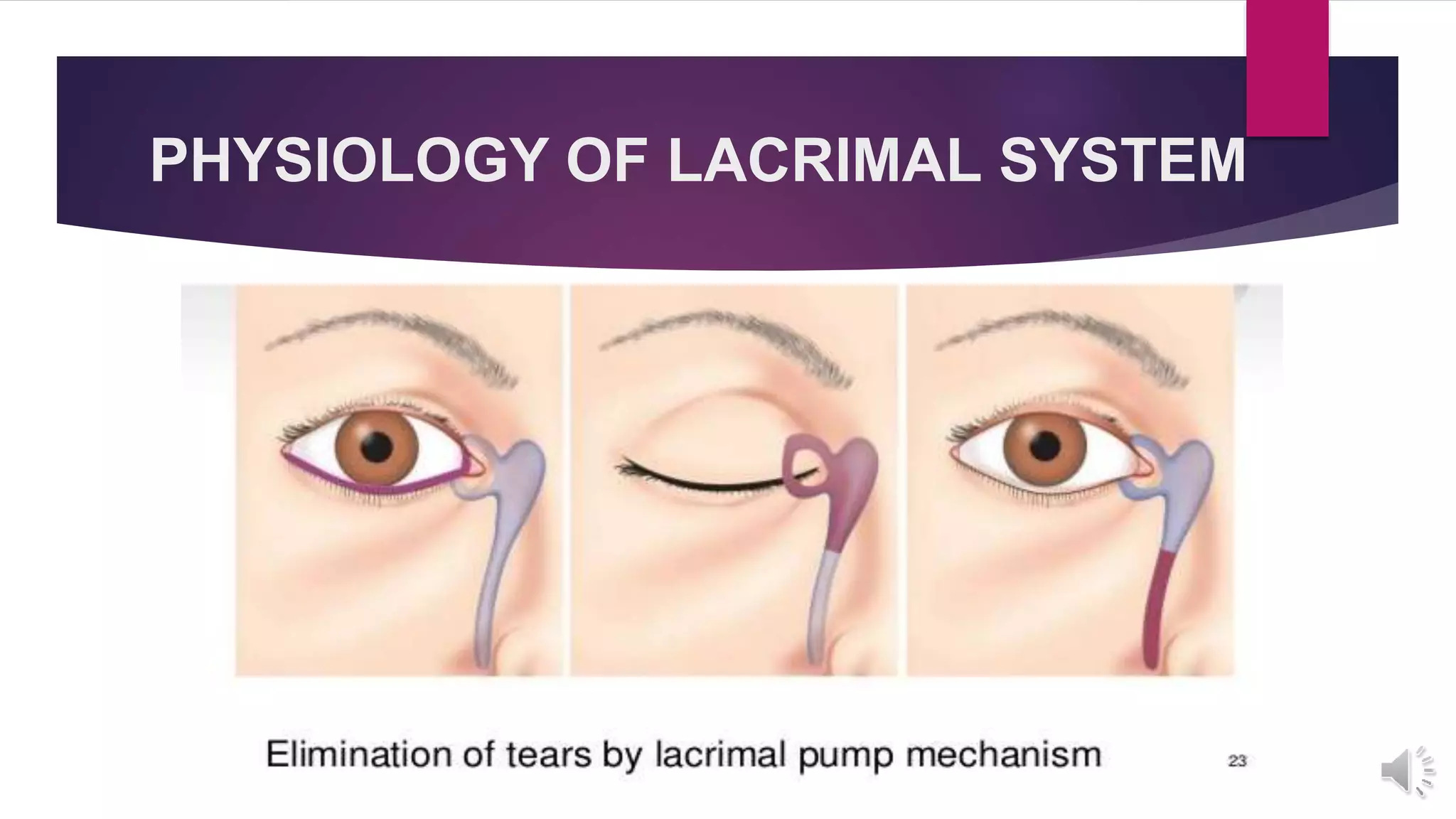 EBTL LECTURE 2.pptx | Free Download