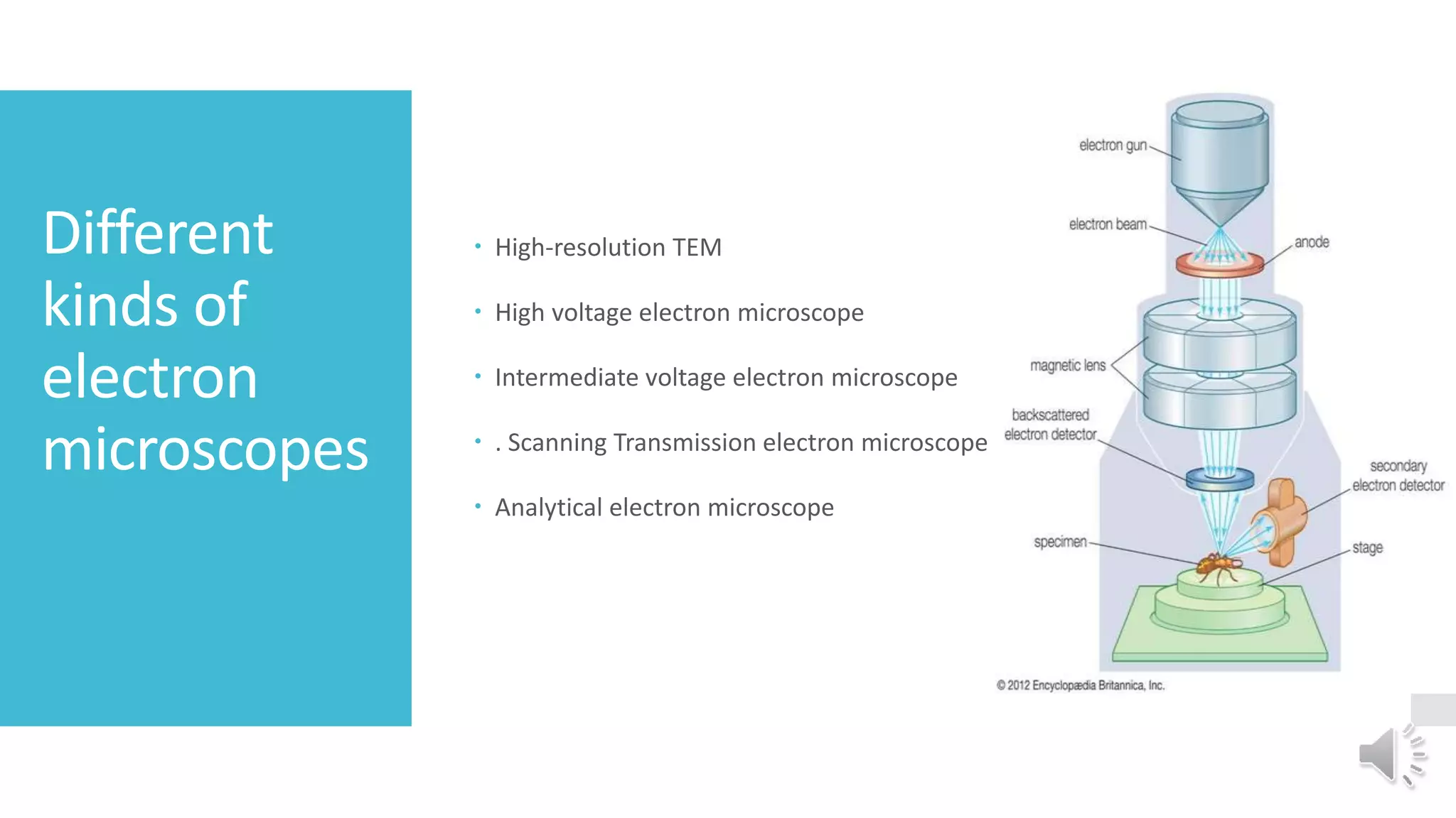 Electron Microscopy | PPT