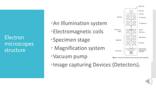 Electron Microscopy | PPT