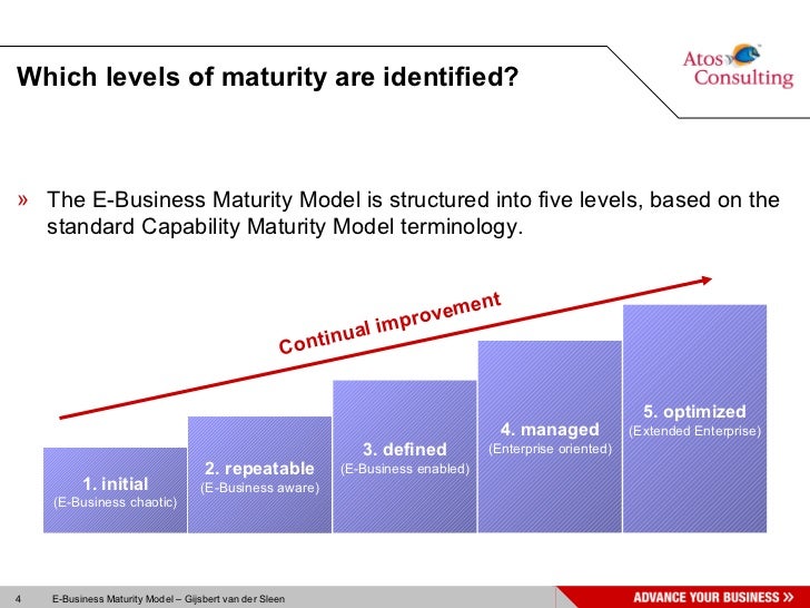 E-Business Maturity Model 2.0