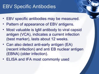 epstein-bar virus (EBV) | PPT