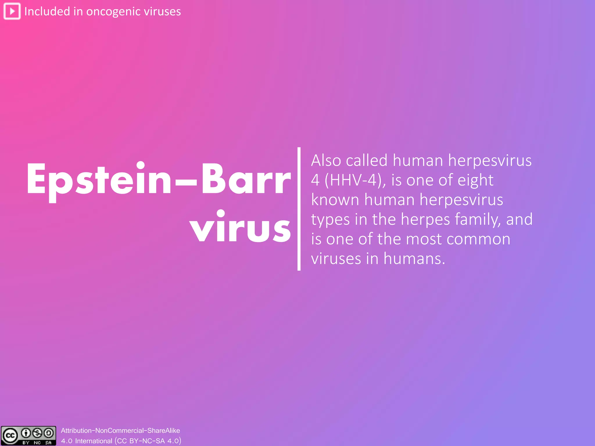 Epstein–Barr virus | PDF