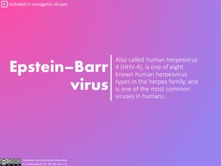 Epstein–Barr virus | PDF | Infectious Diseases | Diseases and Conditions