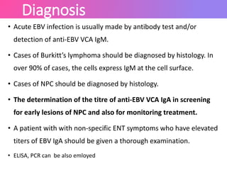 Epstein–Barr virus | PDF | Infectious Diseases | Diseases and Conditions