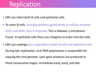 Epstein–Barr virus | PDF | Infectious Diseases | Diseases and Conditions