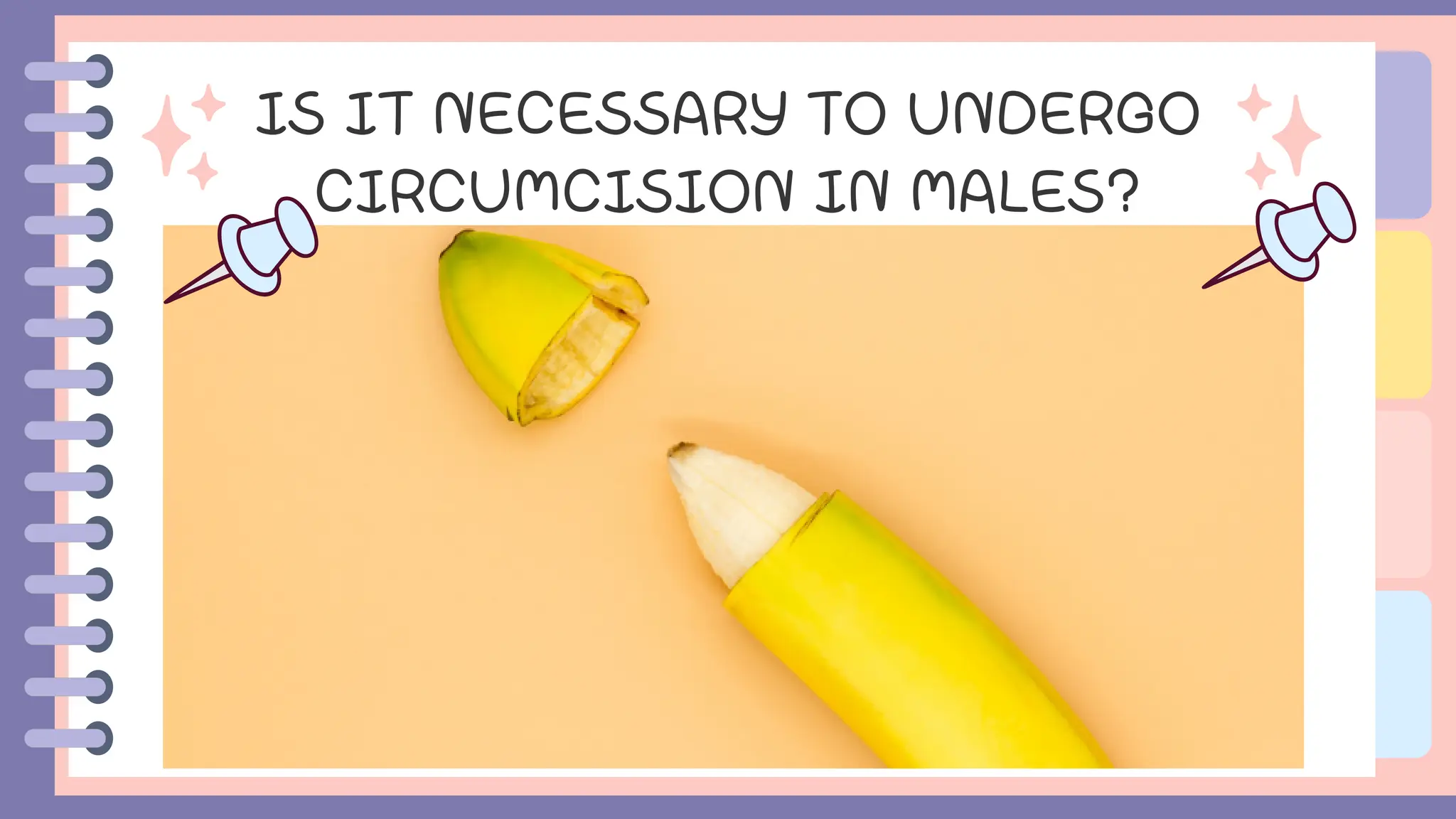 Constitutes Contributes An Individual Sex And What Is Sexuality Pdf