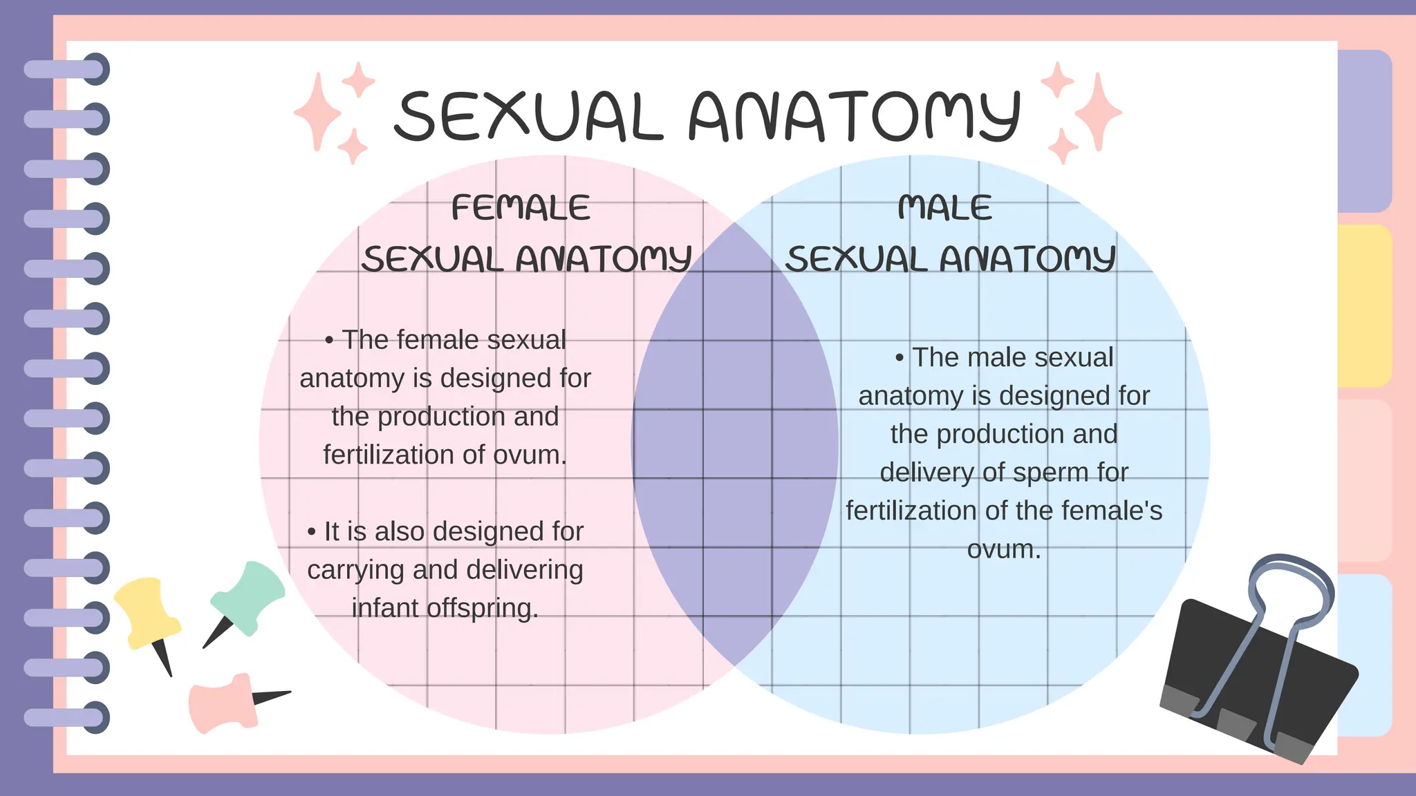 Constitutes Contributes An Individual Sex And What Is Sexuality Pdf