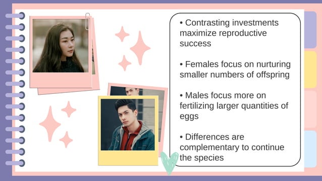 Constitutes Contributes An Individual Sex And What Is Sexuality Pdf