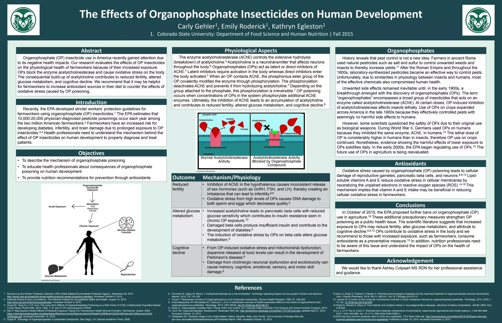 Final Seminar Poster-1 | PDF