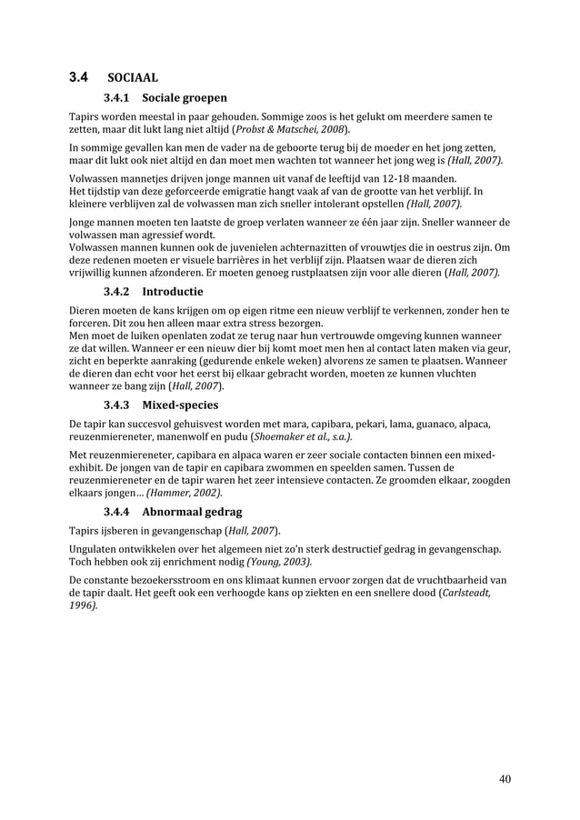 opmaak met foto's | PDF