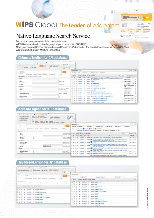 WIPS Global Brochure, New | PDF