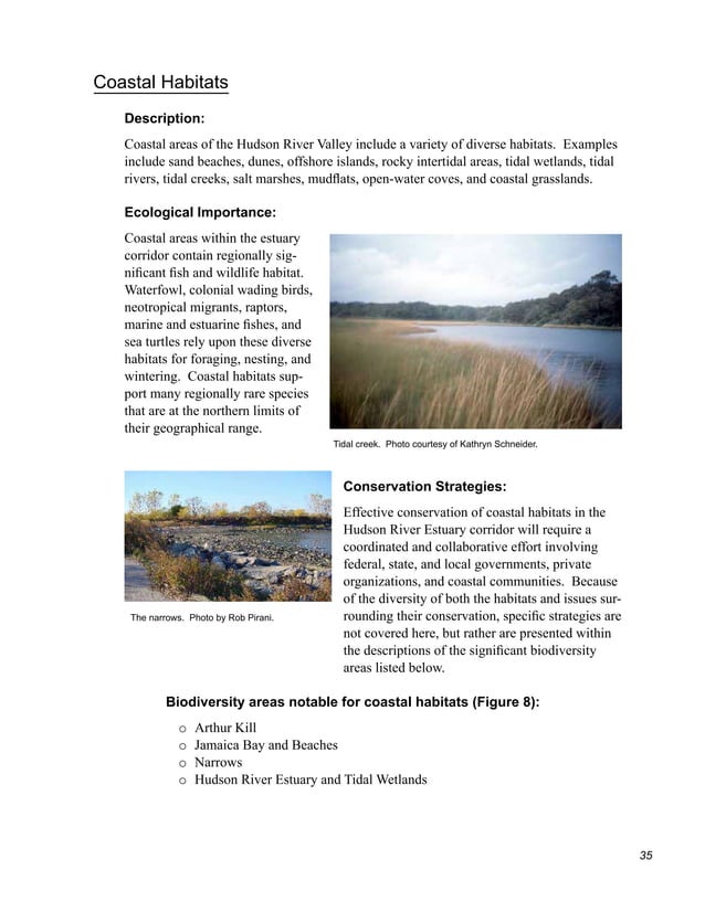 Wildlife and Habitat Conservation Framework | PDF