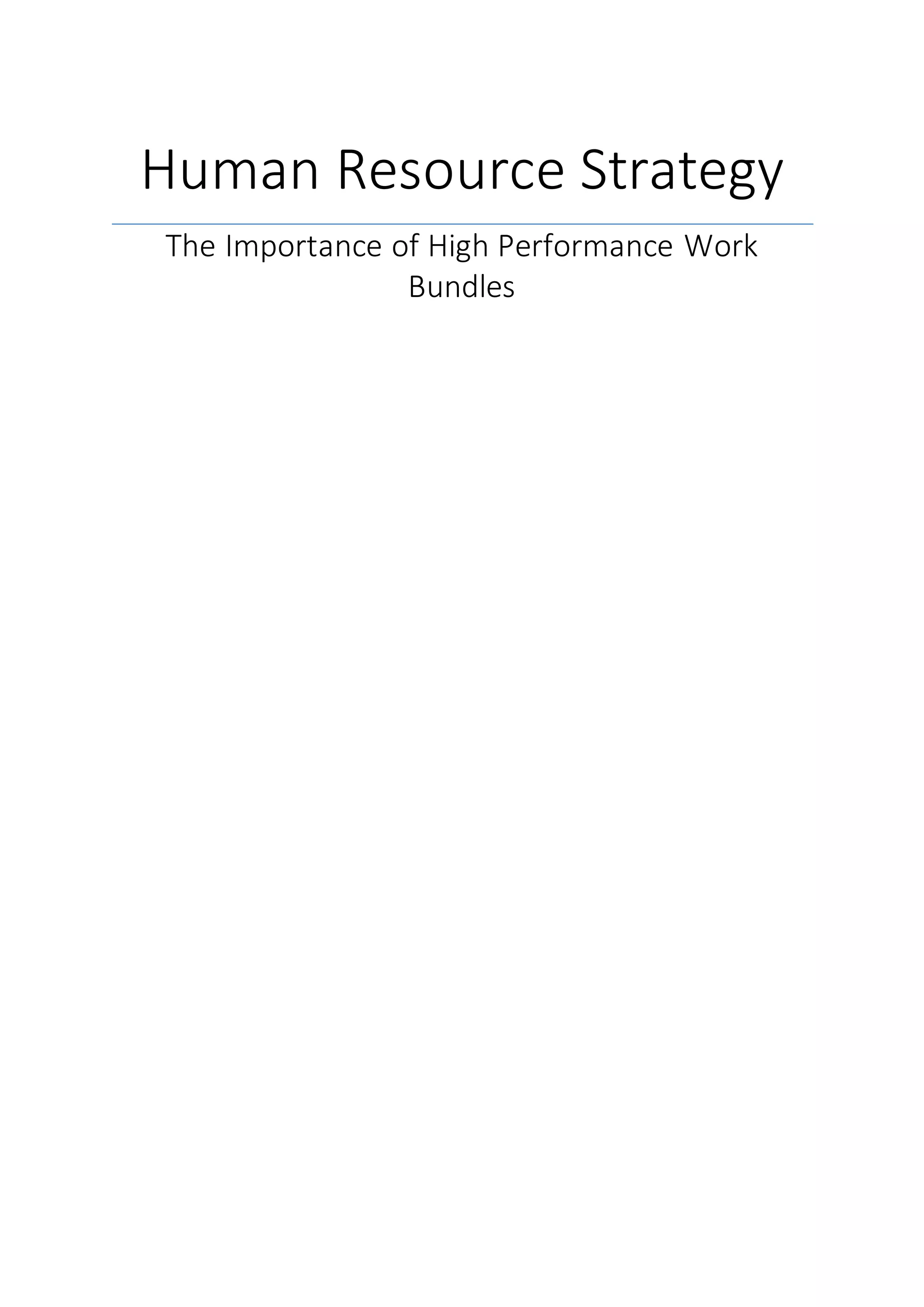 Human Resource Strategy | DOCX