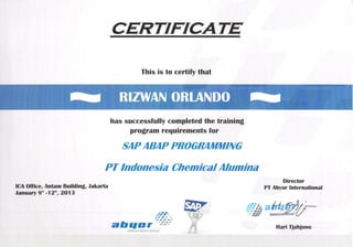 SAP Abap Programming | PDF