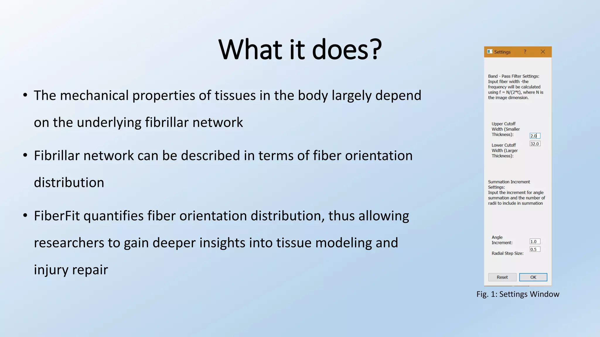 FiberFit-Demo | PPT