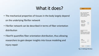 FiberFit-Demo | PPT
