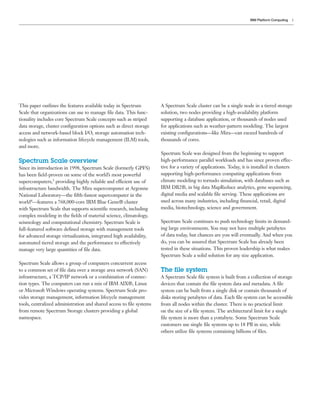 spectrum Storage Whitepaper | PDF