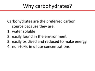 F 15 Lab 22 Carbohydrate metabolism | PPTX