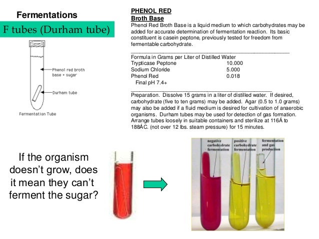 Phenol Red Fermentation Tubes