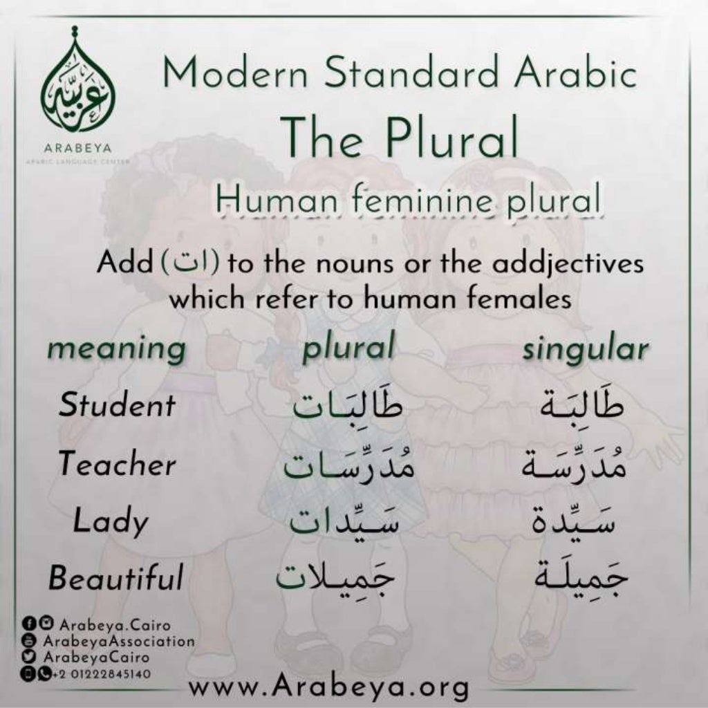 Talk Like An Egyptian With These Quick Egyptian Arabic Lessons talk-like-an-egyptian-with-these-quick-egyptian-arabic-lessons
