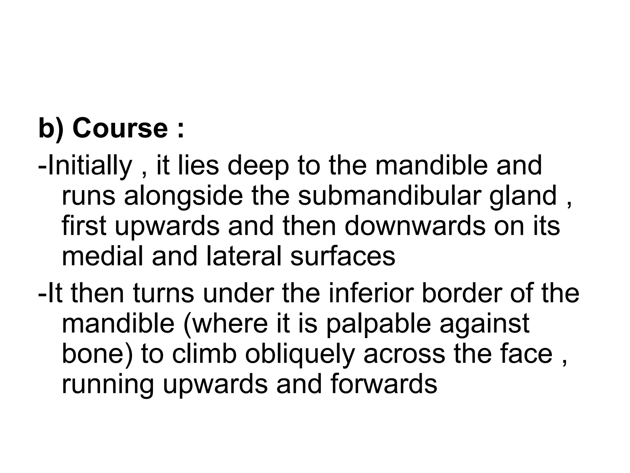 Anatomy of the external carotid artery (ECA) | PPT