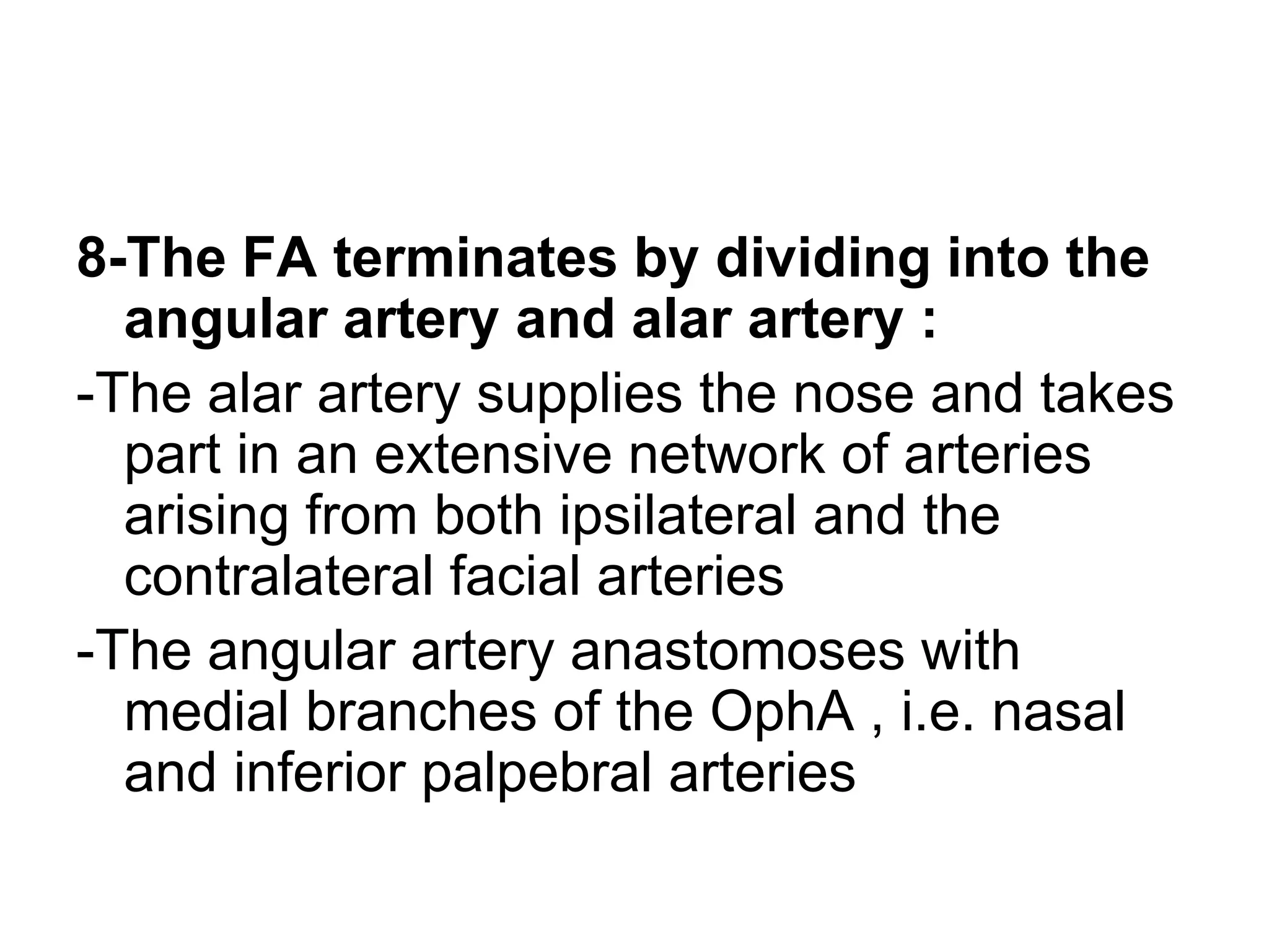 Anatomy of the external carotid artery (ECA) | PPT