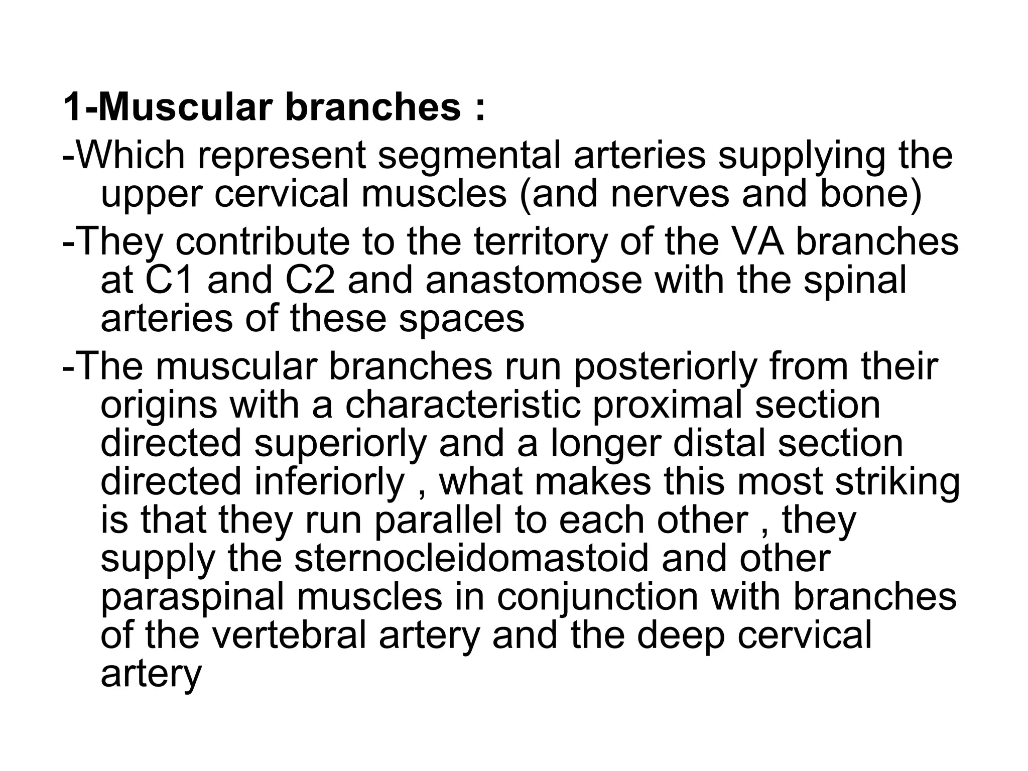 Anatomy of the external carotid artery (ECA) | PPT