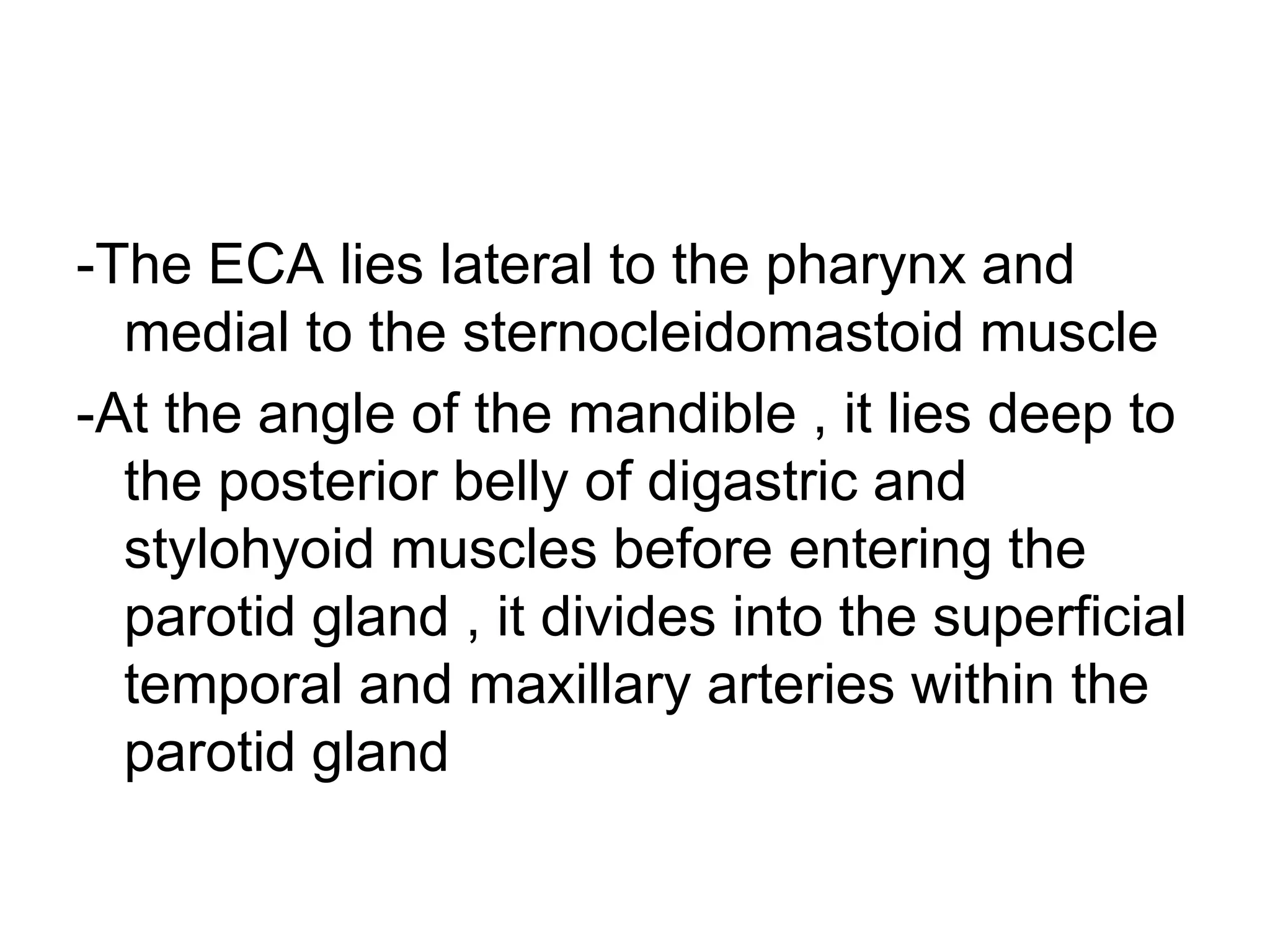 Anatomy of the external carotid artery (ECA) | PPT