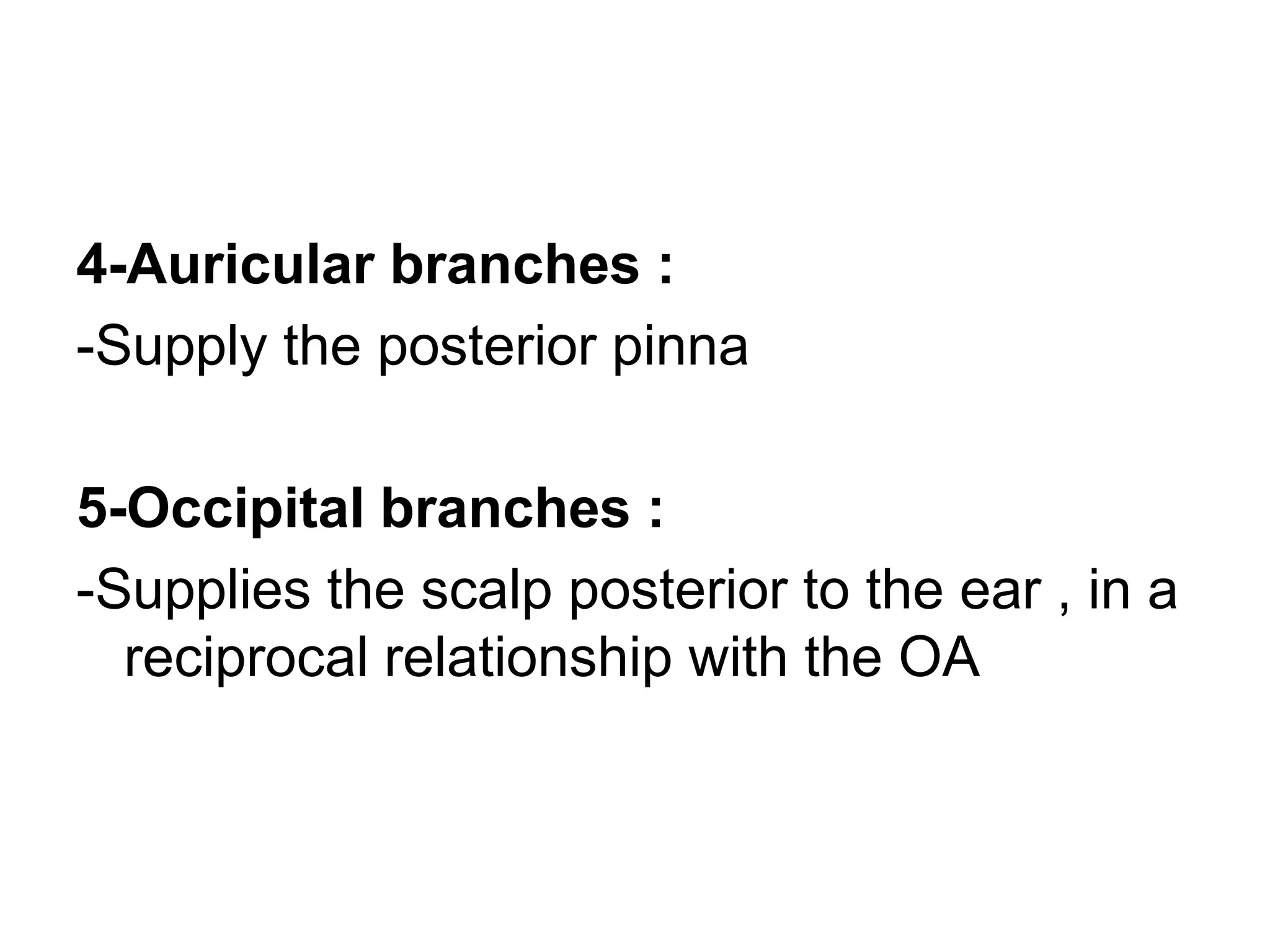 Anatomy of the external carotid artery (ECA) | PPT